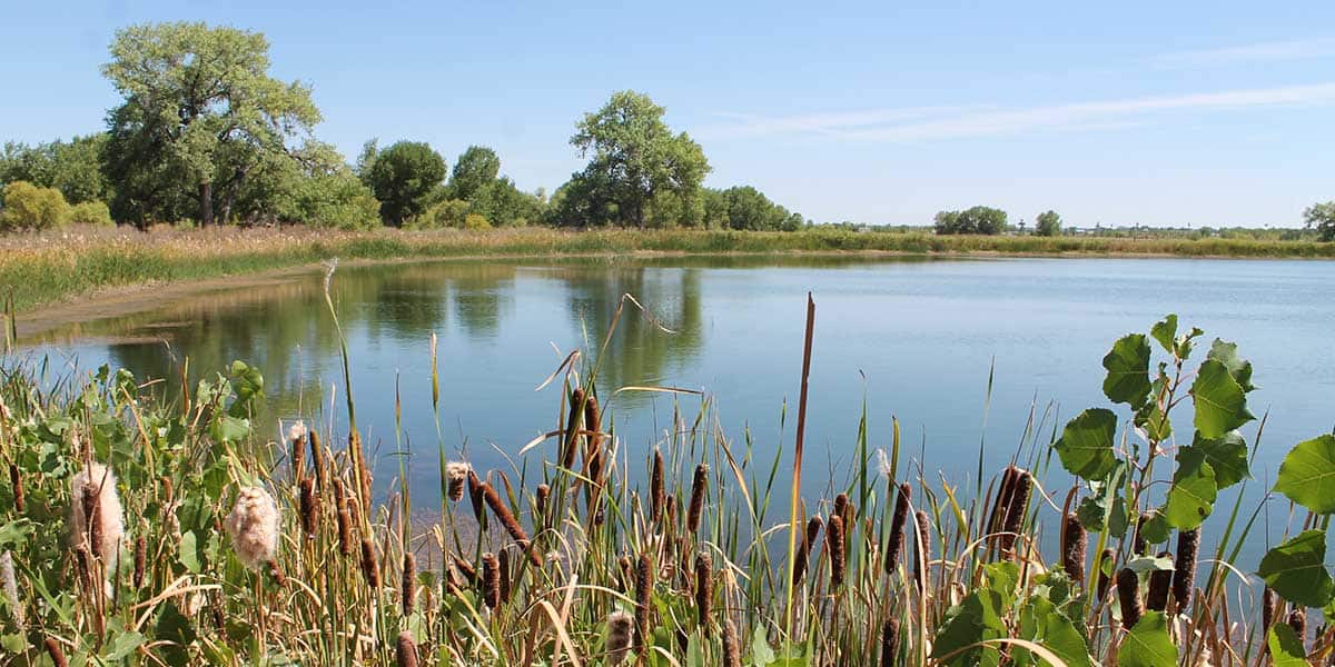 St. Vrain River Retreat - Mirr Ranch Group