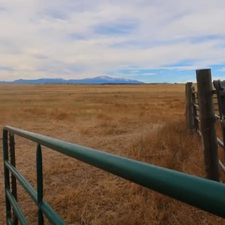 Cattle Ranches For Sale | Mirr Ranch Group