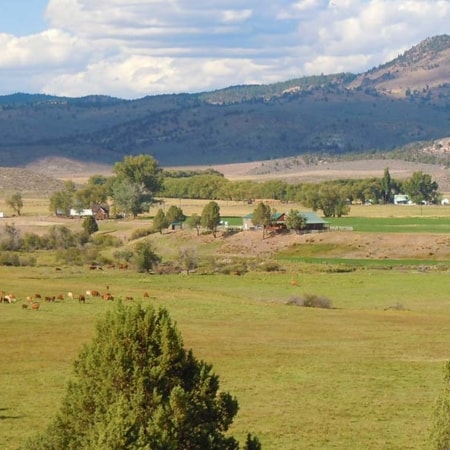 Oregon Ranches For Sale | Mirr Ranch Group