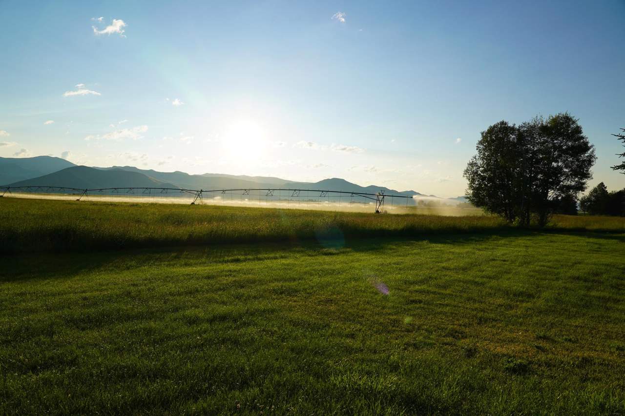 Silver Spring Farm - Mirr Ranch Group