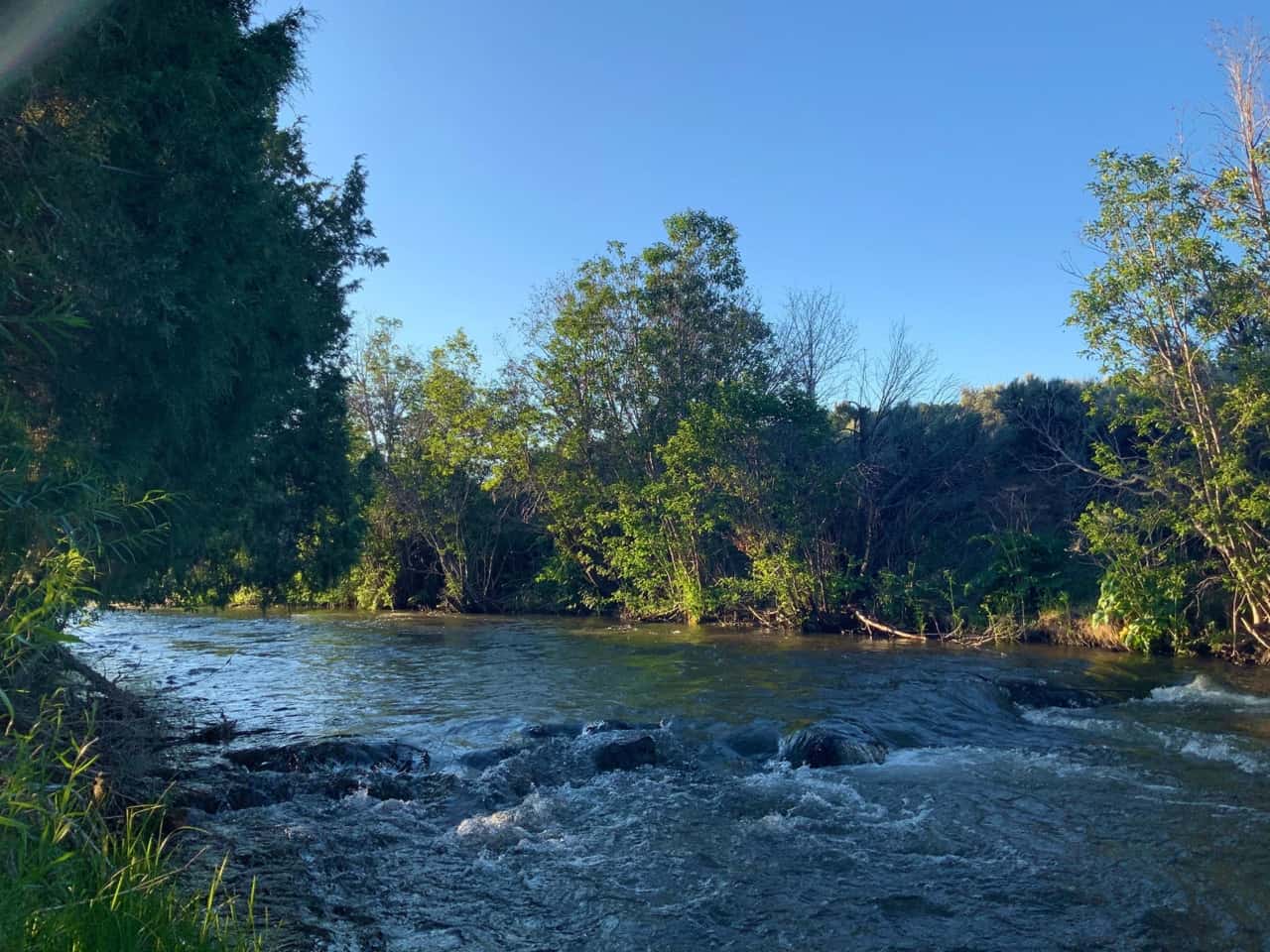 Costilla Creek Fishing Ranch - Mirr Ranch Group