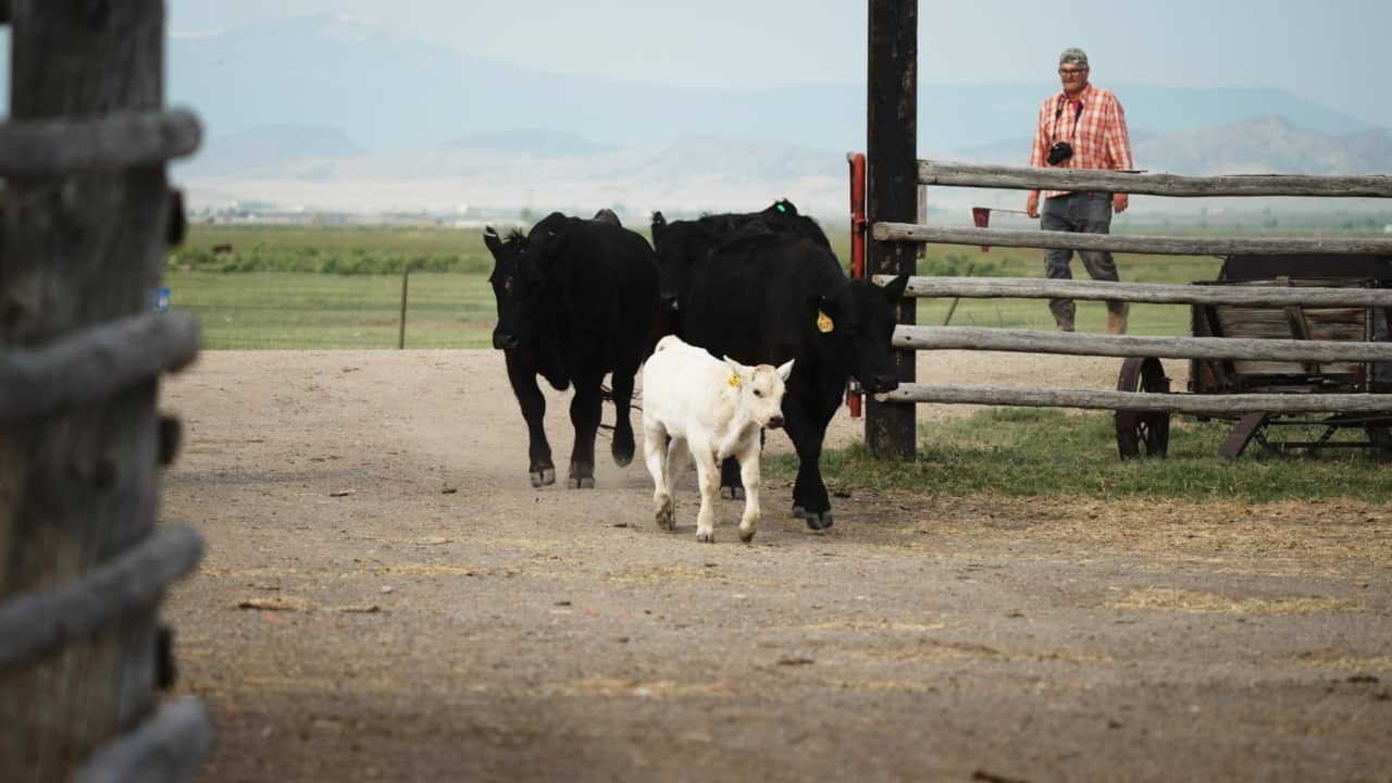 WindowSash Ranch - Mirr Ranch Group