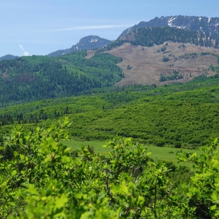 Colorado Ranches For Sale | Mirr Ranch Group