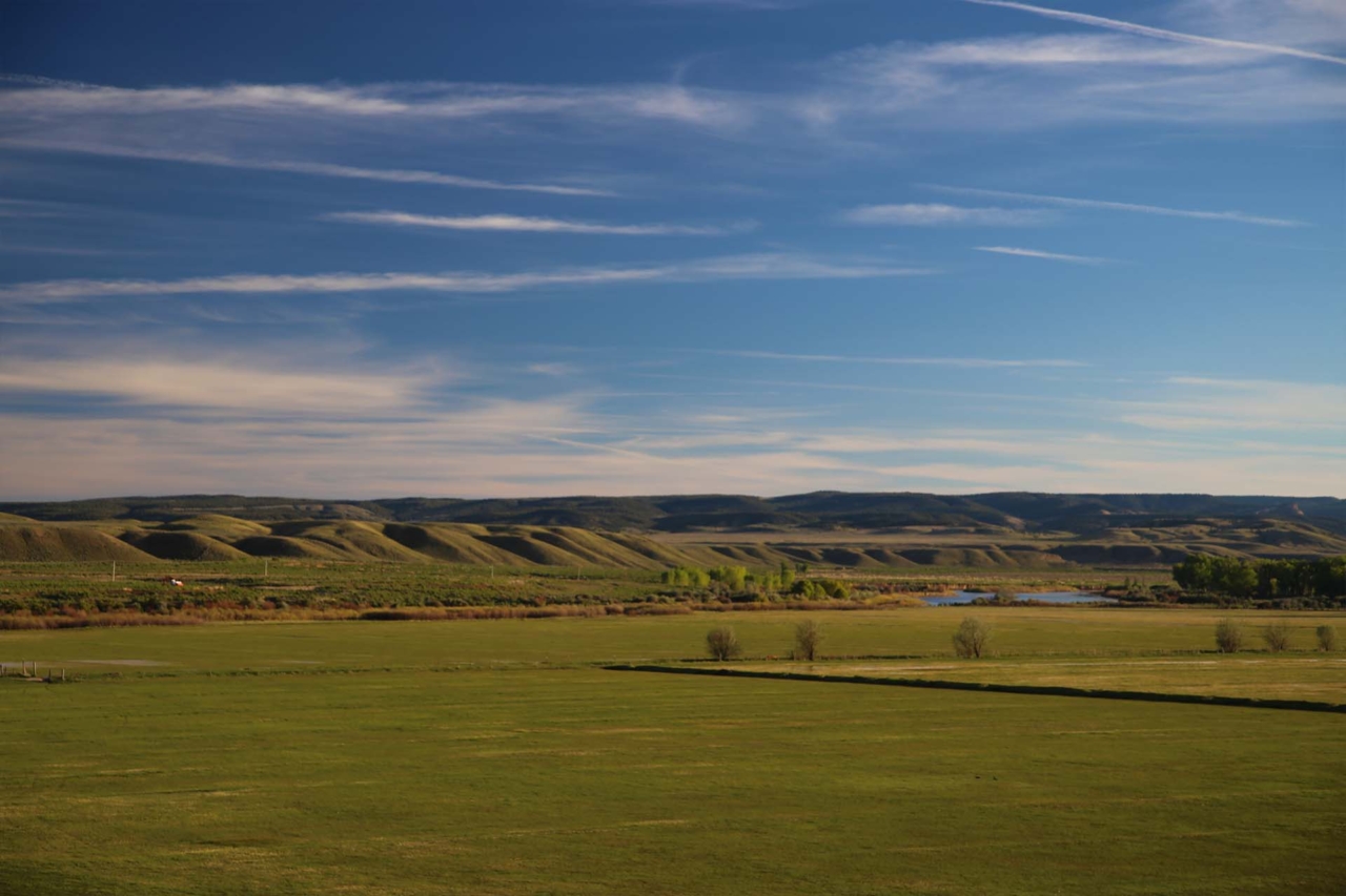 Lily Park Ranch - Mirr Ranch Group