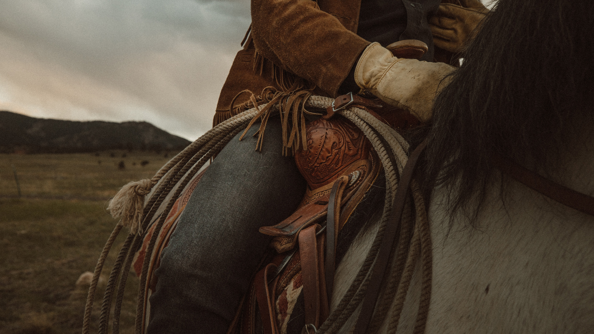 National Western Stock Show Delivers A Big Return On Western Heritage ...