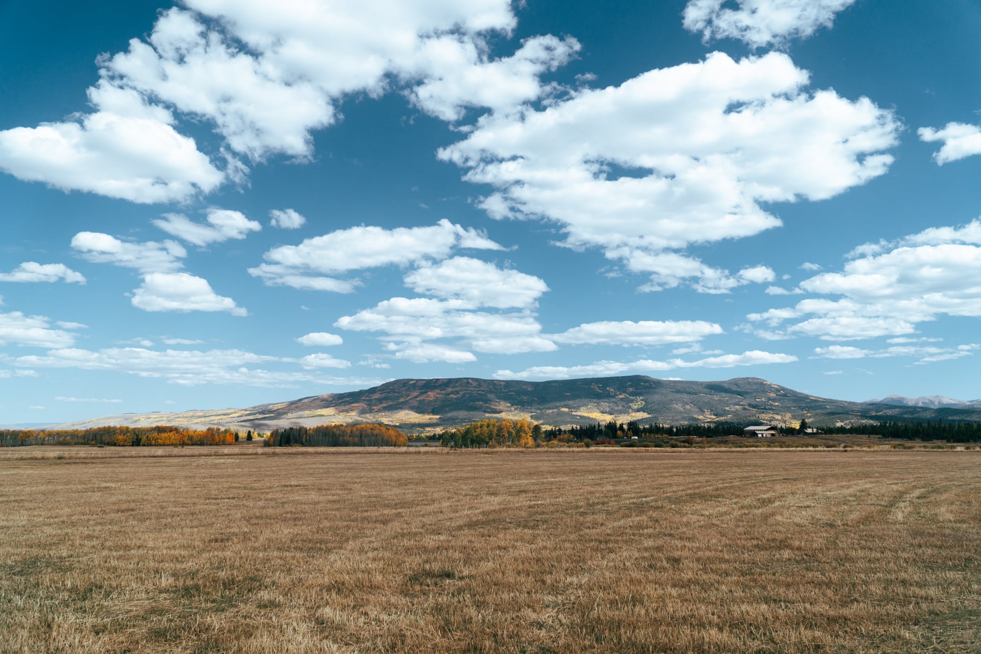 Explore Ranch Life & Recreation In North Park, Co - MRG