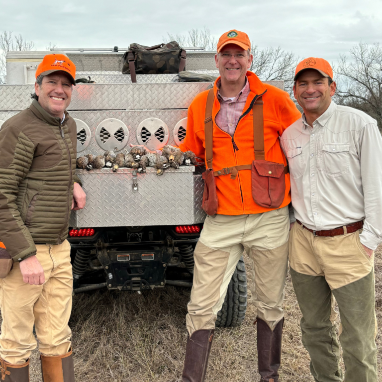Exploring Upland Bird Hunting: A Comprehensive Guide - Mirr Ranch Group