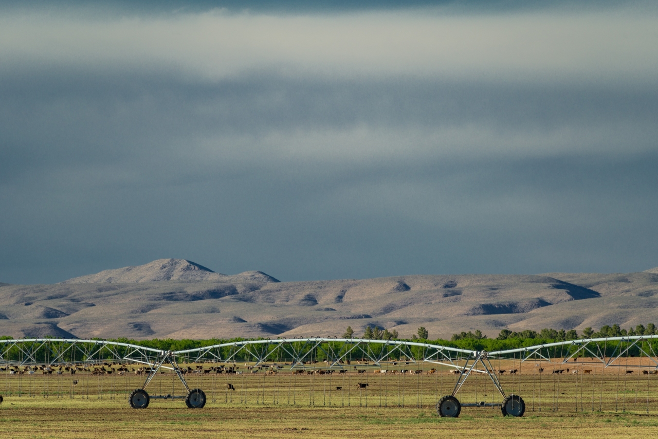 Koehn Ranch And Farm - Mirr Ranch Group