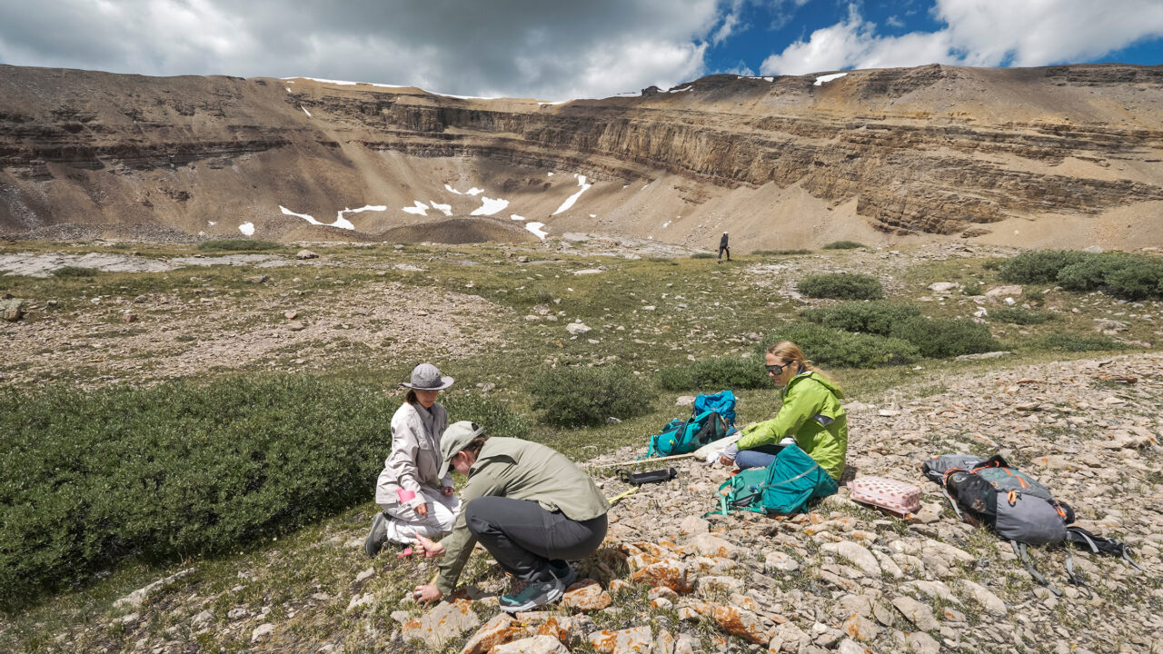 Growing Conservation In Colorado With Botanic Gardens - MRG
