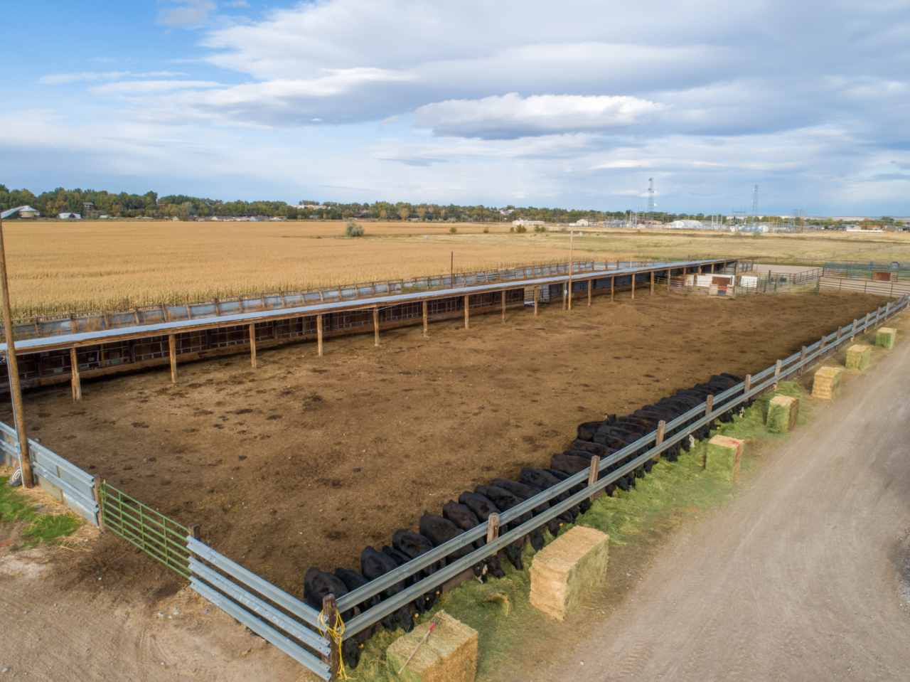 Fremont Valley Farm | Wyoming Ranch For Sale | Mirr Ranch Group