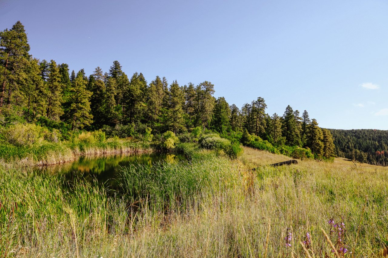 Liberty Ranch | Colorado Ranch For Sale | Mirr Ranch Group