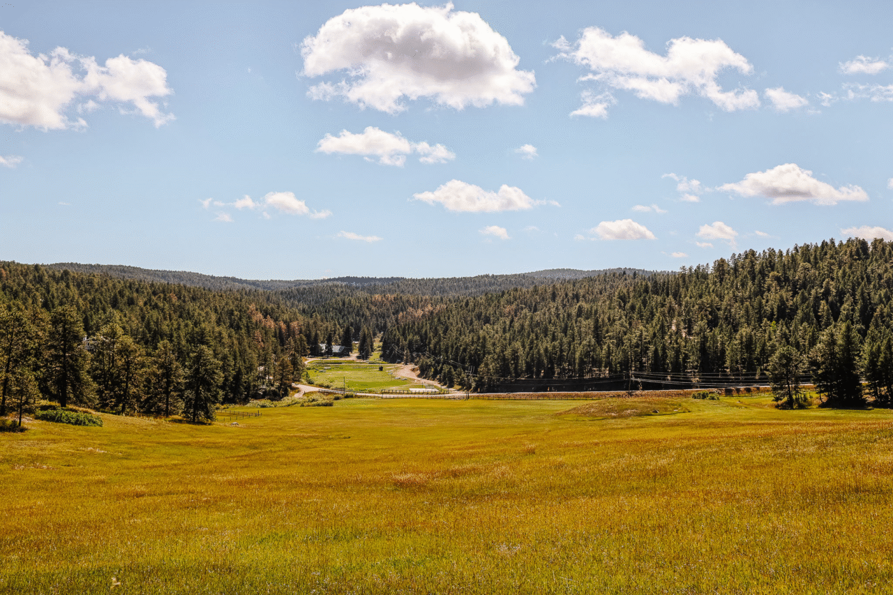 Liberty Ranch | Colorado Ranch For Sale | Mirr Ranch Group