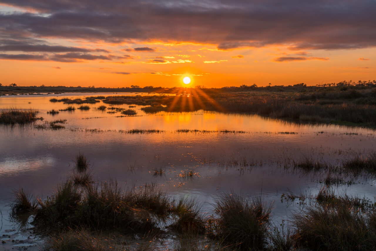 Understanding Today’s Texas Ranch Market - Mirr Ranch Group