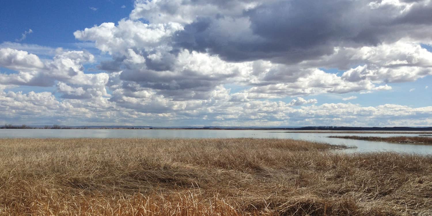 Pelican Lake Farms - Mirr Ranch Group